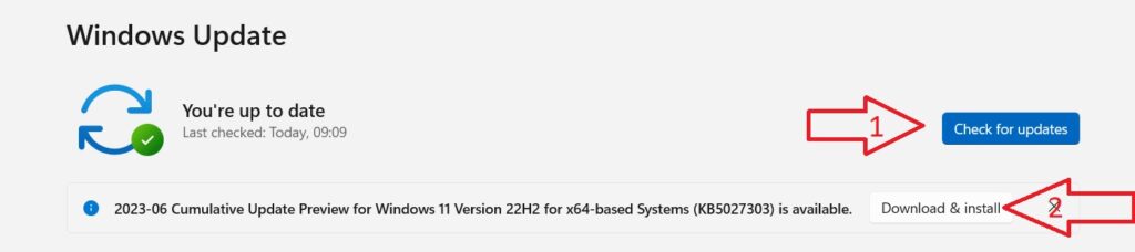 Click on the “ Check for updates ” option, and wait a few moments for ...