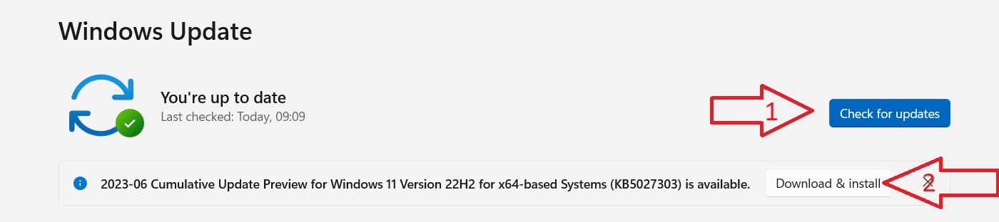 Click on the “ Check for updates ” option, and wait a few moments for ...
