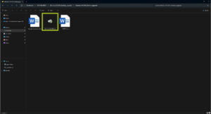 2. Extract files 3. Copy .exe file