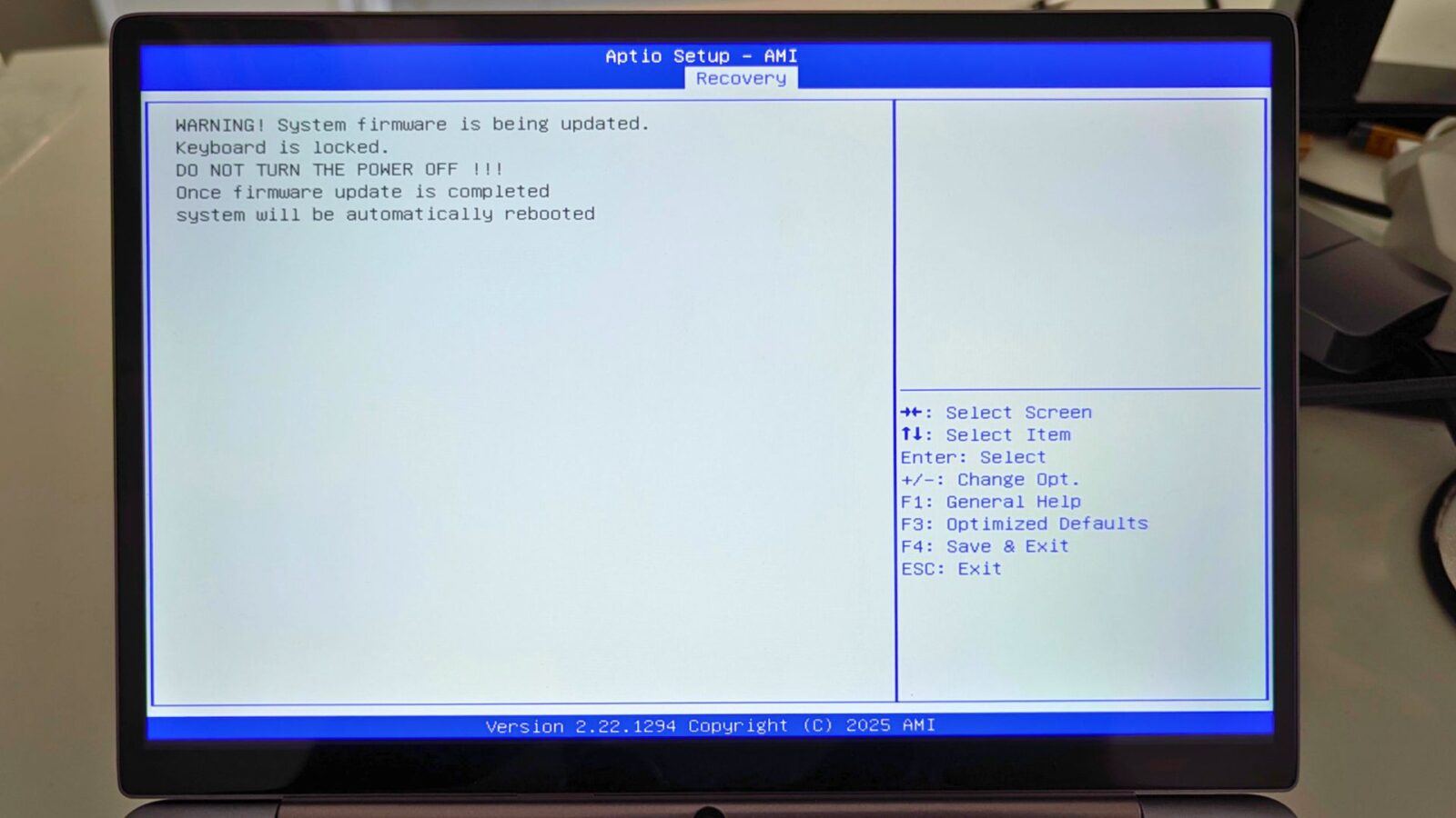 The BIOS flashing screen will now show. It will appear to do nothing ...